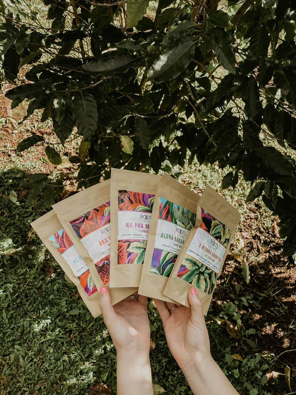 Collections – Green World Coffee Farm