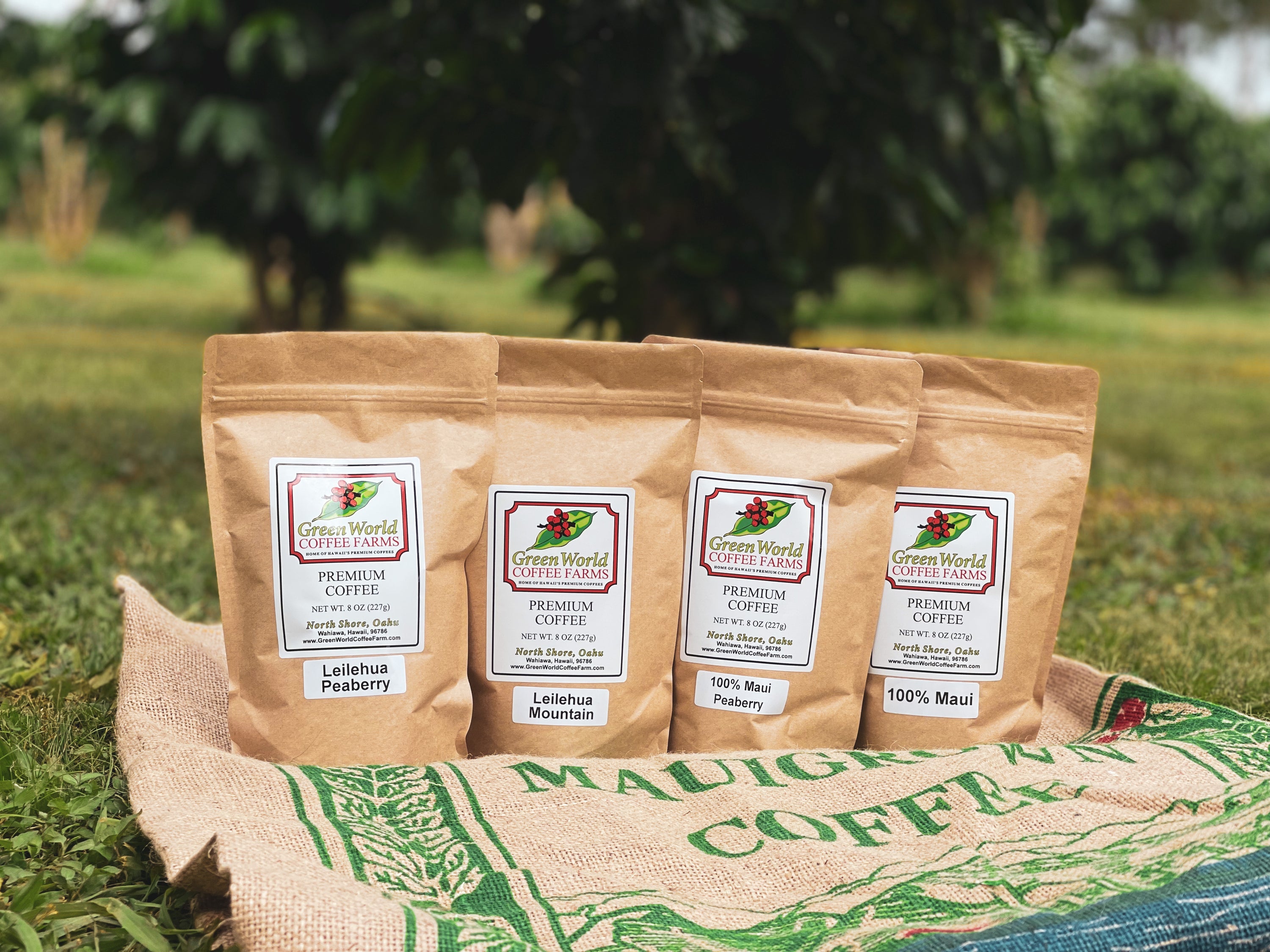 Collections – Green World Coffee Farm