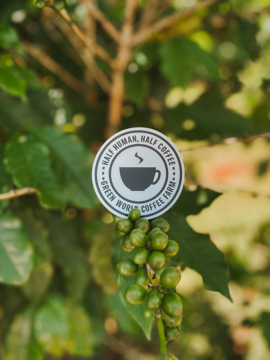 Green World Sticker Bundle – Green World Coffee Farm
