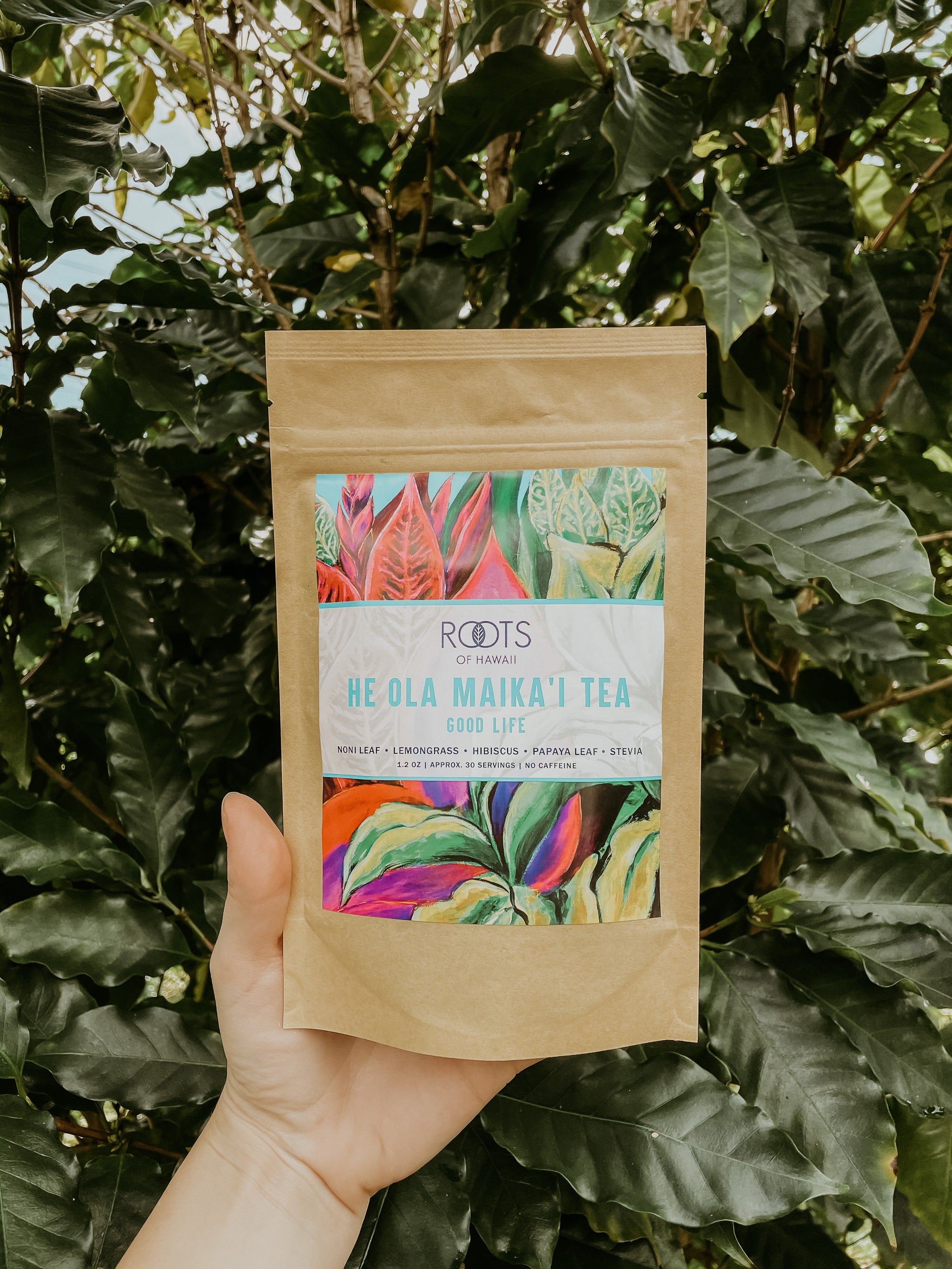 Tea – Green World Coffee Farm