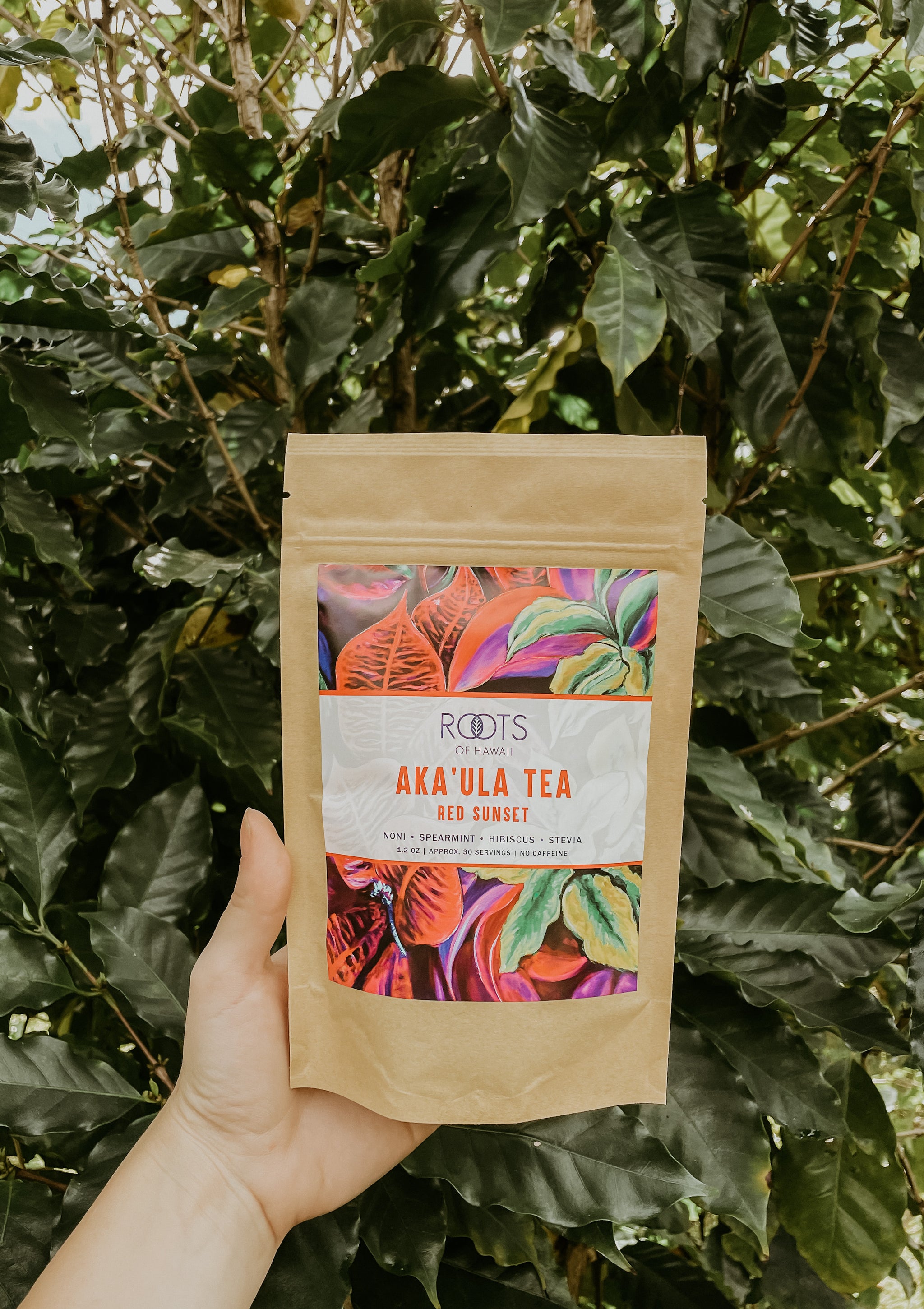 Aka'ula (Sunset) Tea – Green World Coffee Farm