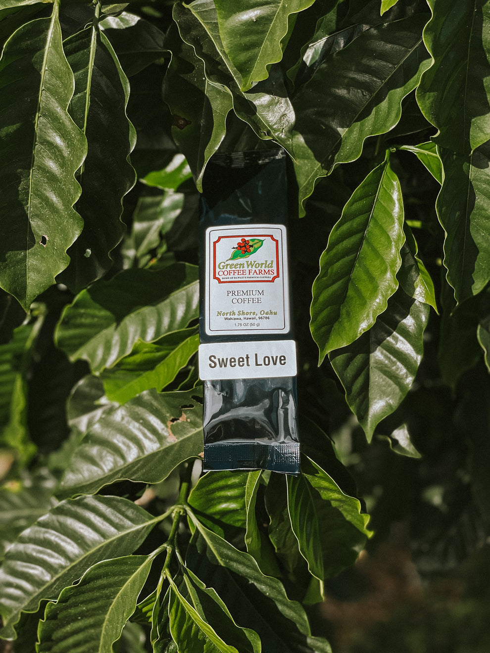 Sample Bags - Flavored – Green World Coffee Farm